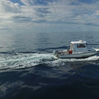 Gulf of Maine Temperature Update: Normal Is the New Cold - Gulf of ...