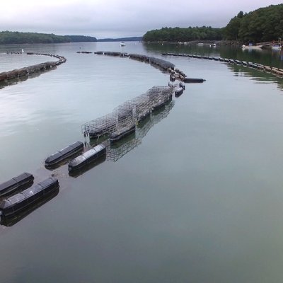 Understanding the Aquaculture Supply Chain - Gulf of Maine Research ...