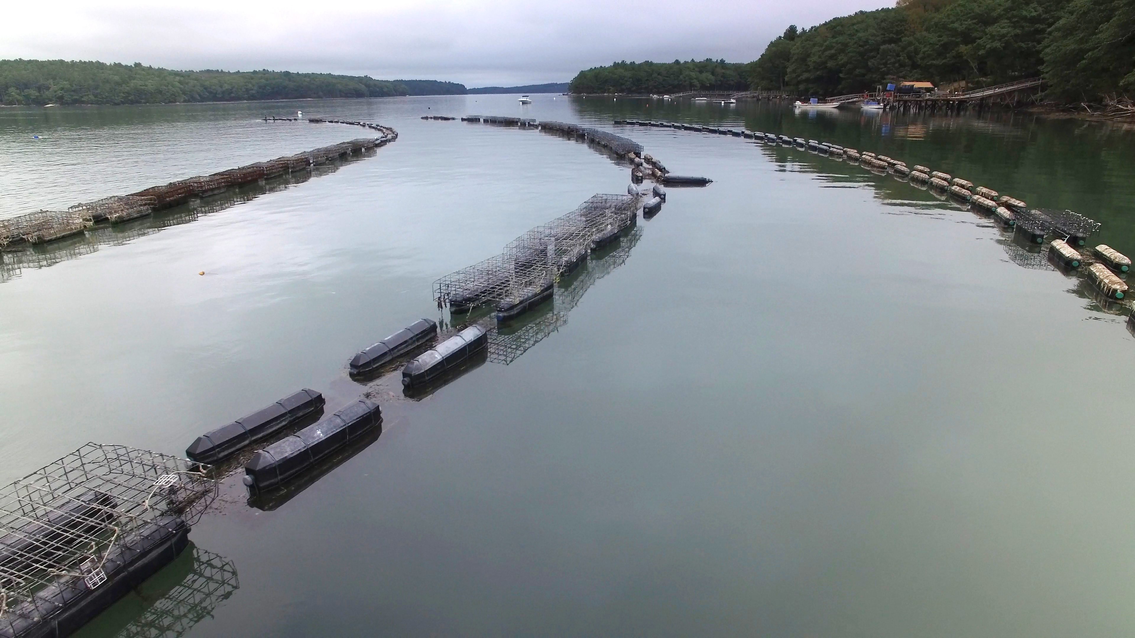 Understanding the Aquaculture Supply Chain - Gulf of Maine Research ...