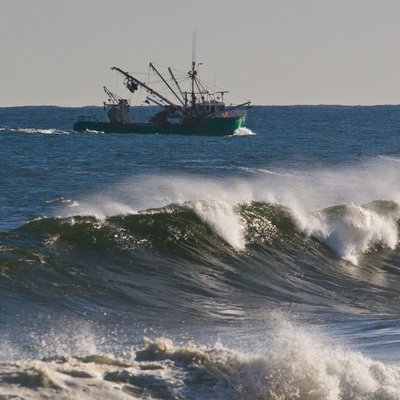 Evaluating Alternative Harvest Control Rules for New England Groundfish ...